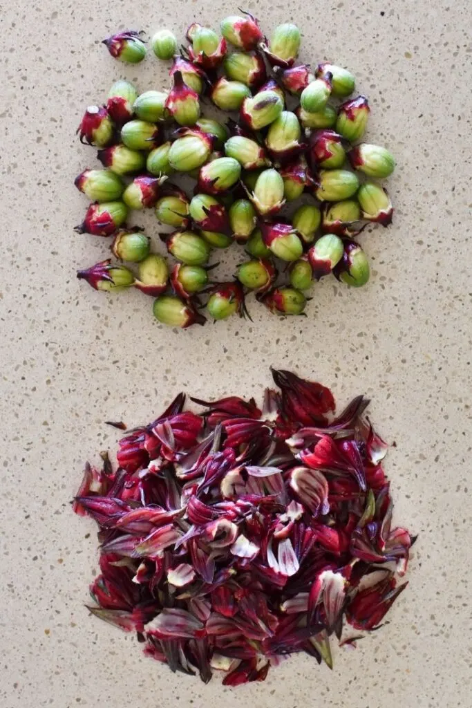 Rosella Jam Recipe | Cooking with Nana Ling