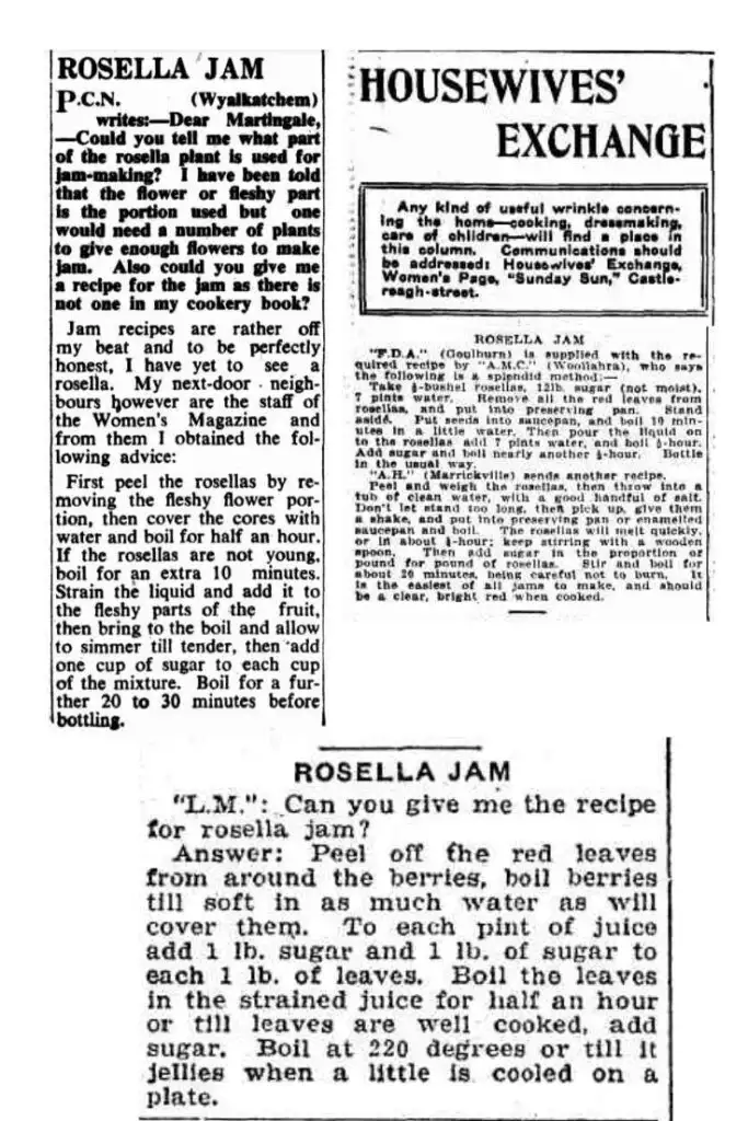 Rosella Jam Recipe | Cooking with Nana Ling