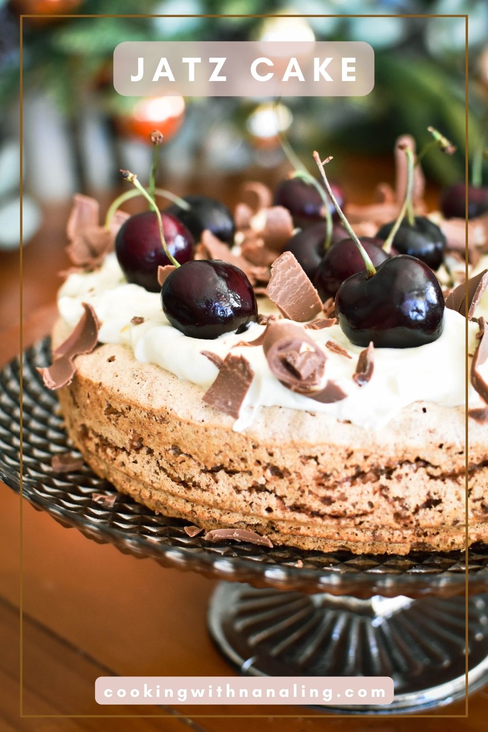 Jatz Cake - Cooking with Nana Ling