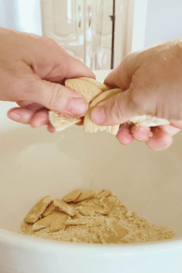 Hedgehog Slice Recipe | Cooking with Nana Ling