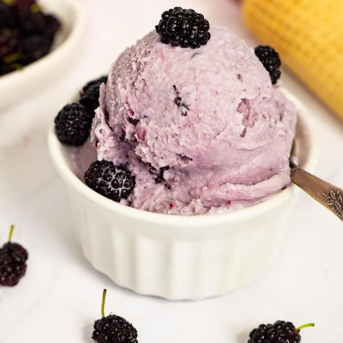 Mulberry Recipes | Cooking with Nana Ling