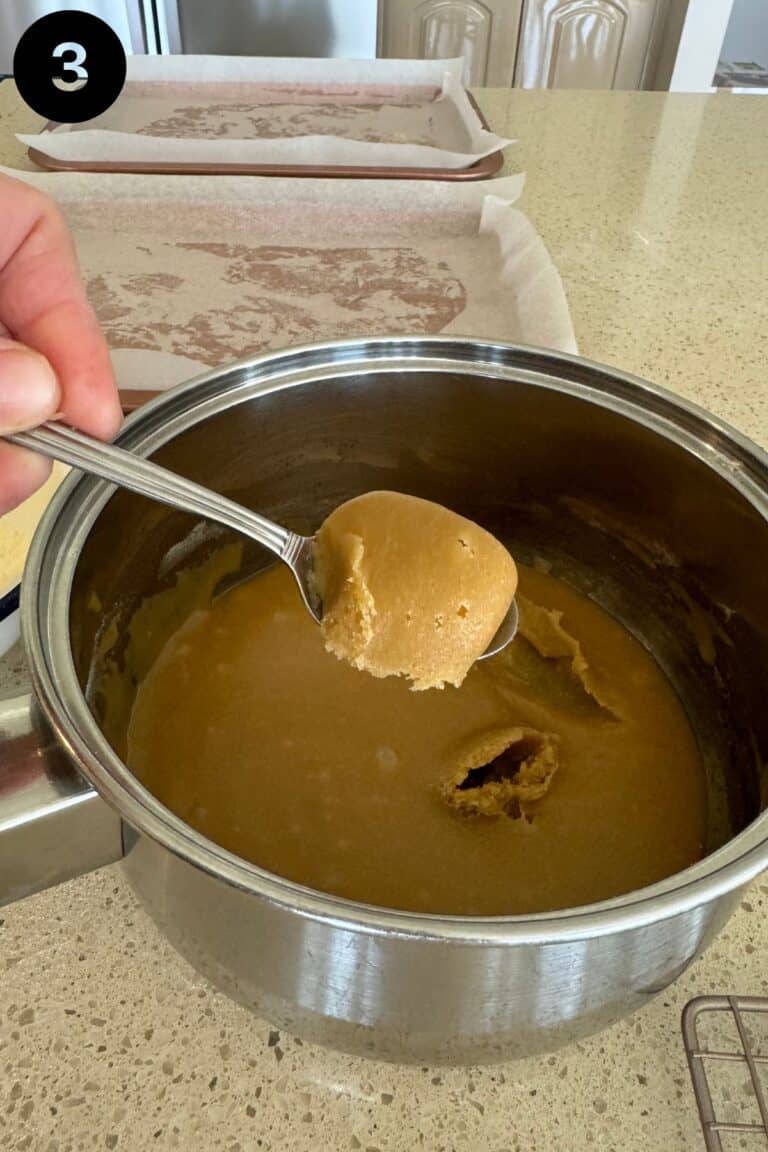 Honey Snaps - Cooking with Nana Ling