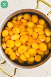 Apricot Jam - Cooking with Nana Ling