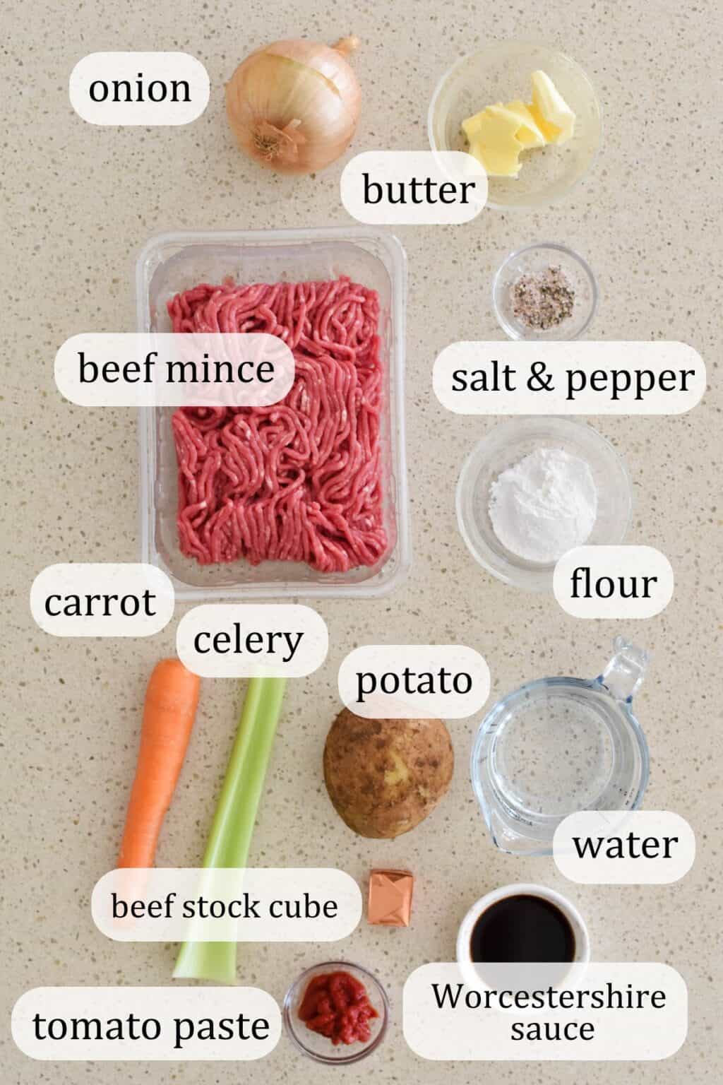 Savoury Mince - Cooking with Nana Ling