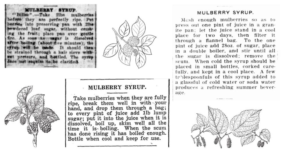 Mulberry Syrup - Cooking with Nana Ling